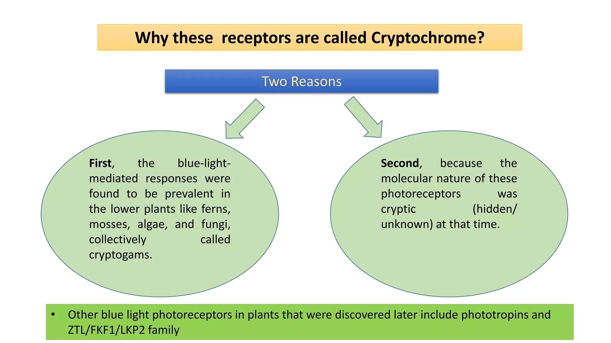 Emerging Roles and New Paradigms in Signaling Mechanisms of Plant ...