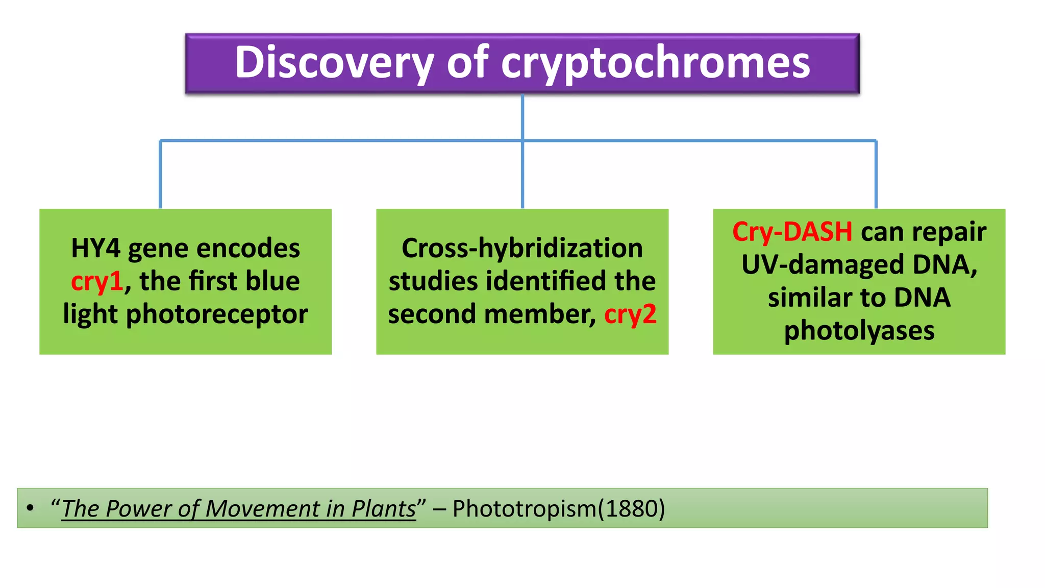 Emerging Roles and New Paradigms in Signaling Mechanisms of Plant ...
