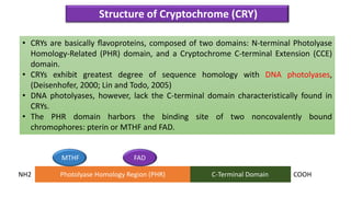 Emerging Roles and New Paradigms in Signaling Mechanisms of Plant ...