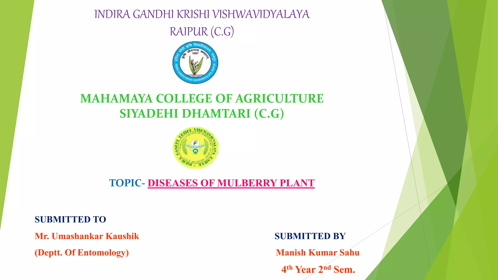 Diseases of Mulberry Plant.pptx