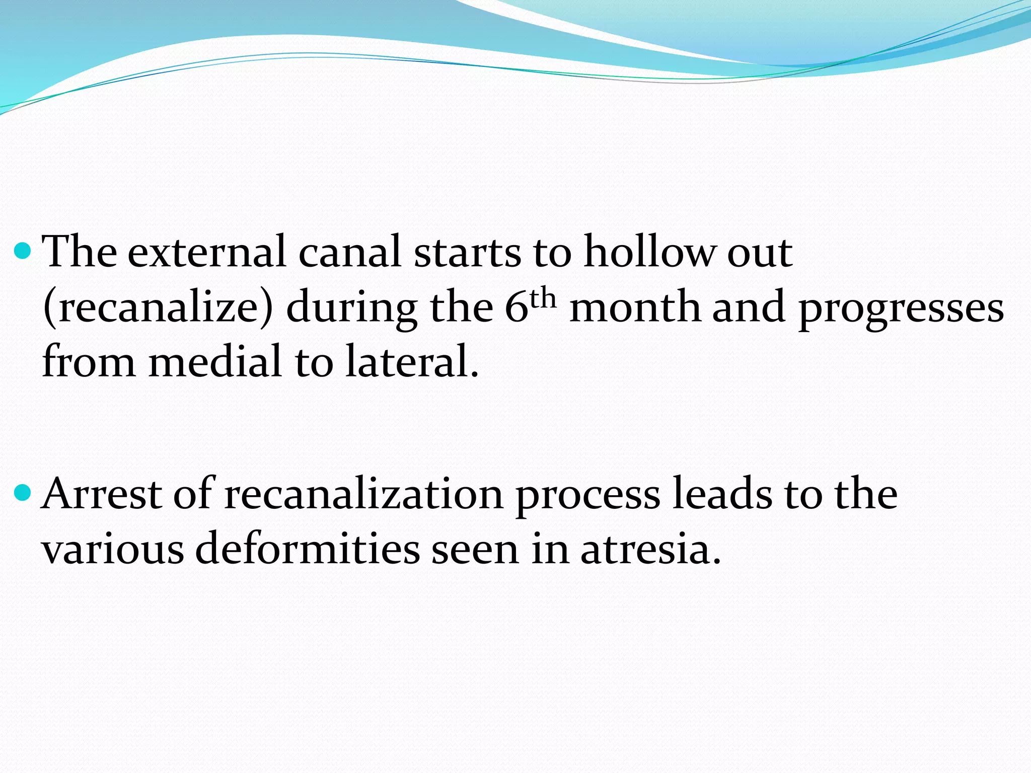 EMBRYOLOGY AND MALFORMATION OF EAR | PPTX