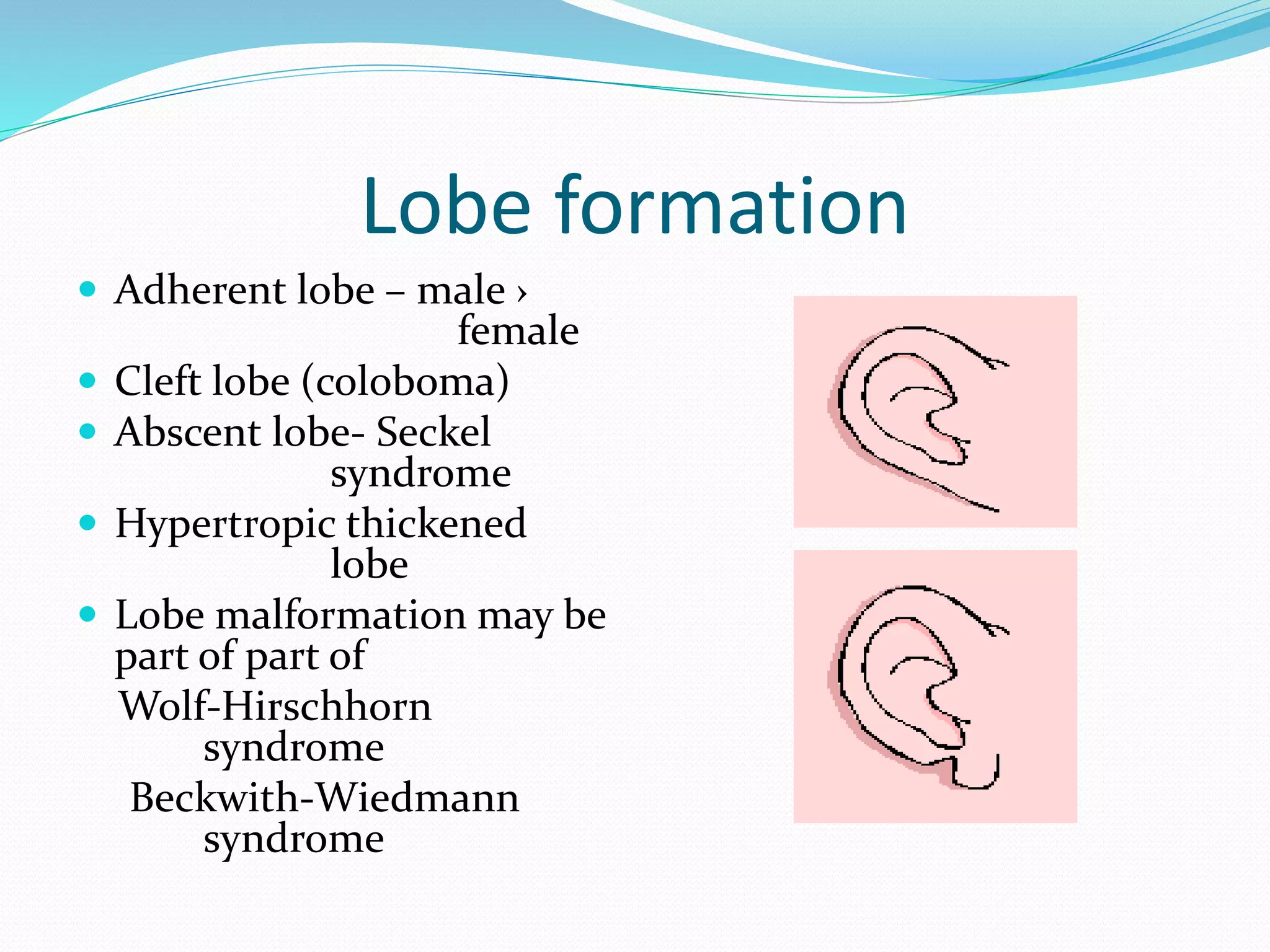 EMBRYOLOGY AND MALFORMATION OF EAR | PPTX