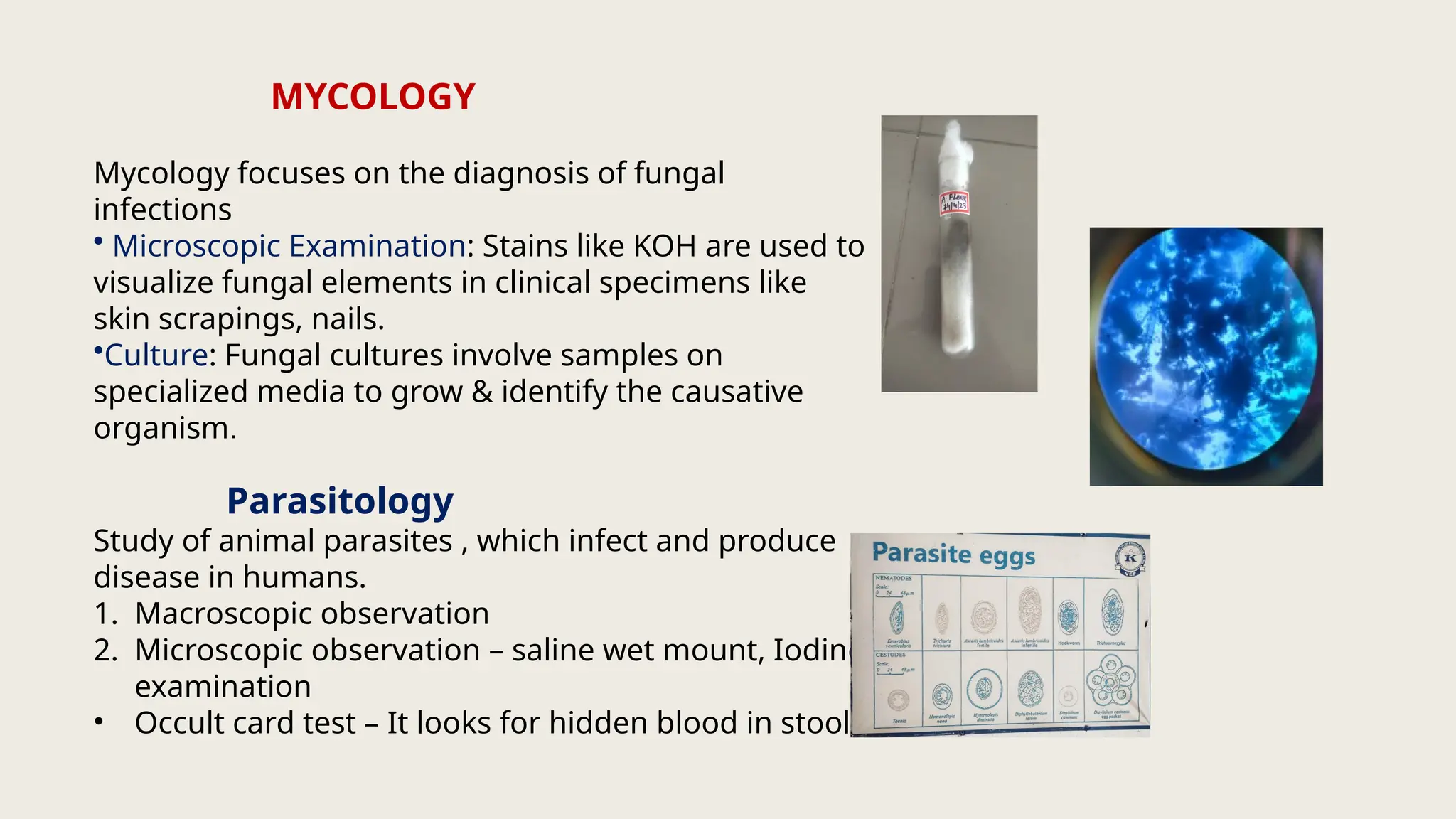 Medical diagnostics and laboratory for 3 months internship ppt | PPTX