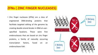Genome Editing Tool ZFNs and TALEs | PPTX