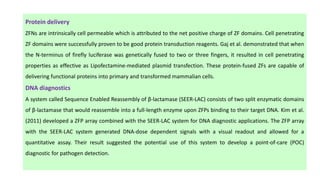 Genome Editing Tool ZFNs and TALEs | PPTX