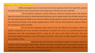 Genome Editing Tool ZFNs and TALEs | PPTX