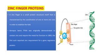 Genome Editing Tool ZFNs and TALEs | PPTX