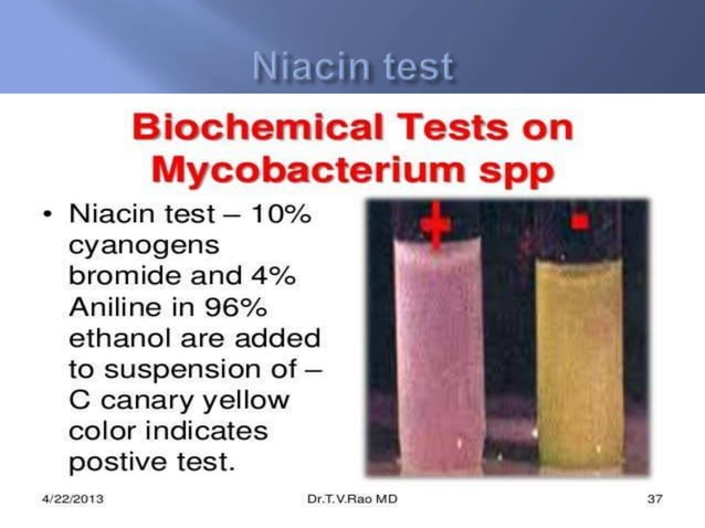 Myco.tuberculosis | PPT