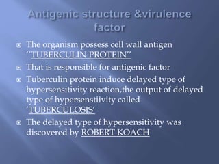 Myco.tuberculosis | PPTX