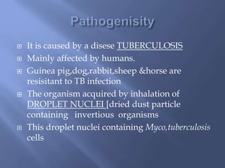 Myco.tuberculosis | PPTX