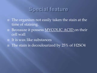 Myco.tuberculosis | PPT