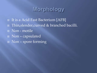 Myco.tuberculosis | PPTX