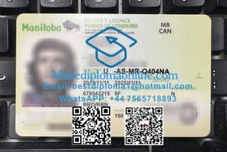 Obtaining Manitoba Drivers licence, Canada Drivers licence | PDF