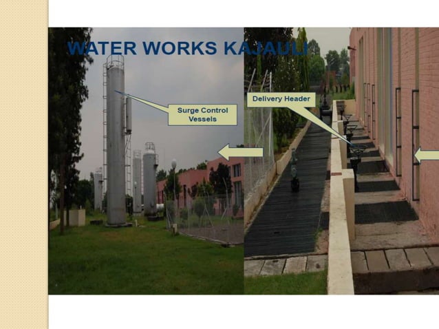 Manjinder kaur | PPT | Free Download