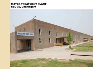 Manjinder kaur | PPT