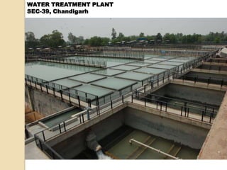 Manjinder kaur | PPT