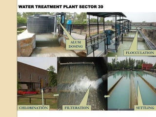 Manjinder kaur | PPT