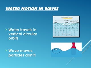 waves and tides | PPT