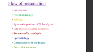 Pebrine disease in silkworm. Mulberry crop | PPTX
