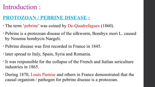 Pebrine disease in silkworm. Mulberry crop | PPTX | Infectious Diseases ...
