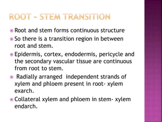 Root stem transition. hvyvjfhjmilip if UC h | PPTX