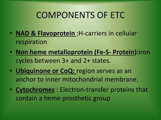 Electron Transport Chain ETC | PPTX