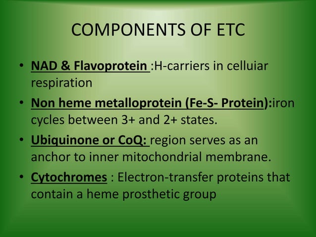 Electron Transport Chain ETC | PPTX | Chemistry | Science