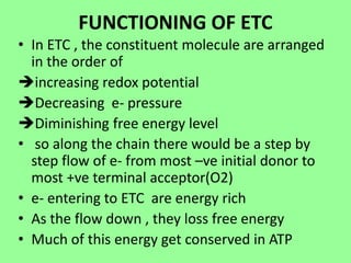 Electron Transport Chain ETC | PPTX