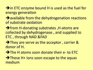 Electron Transport Chain ETC | PPTX