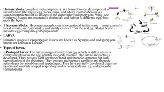 Embryonic and post-embryonic development in insects :its structure ...