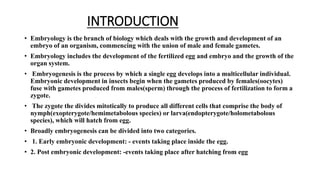 Embryonic and post-embryonic development in insects :its structure ...