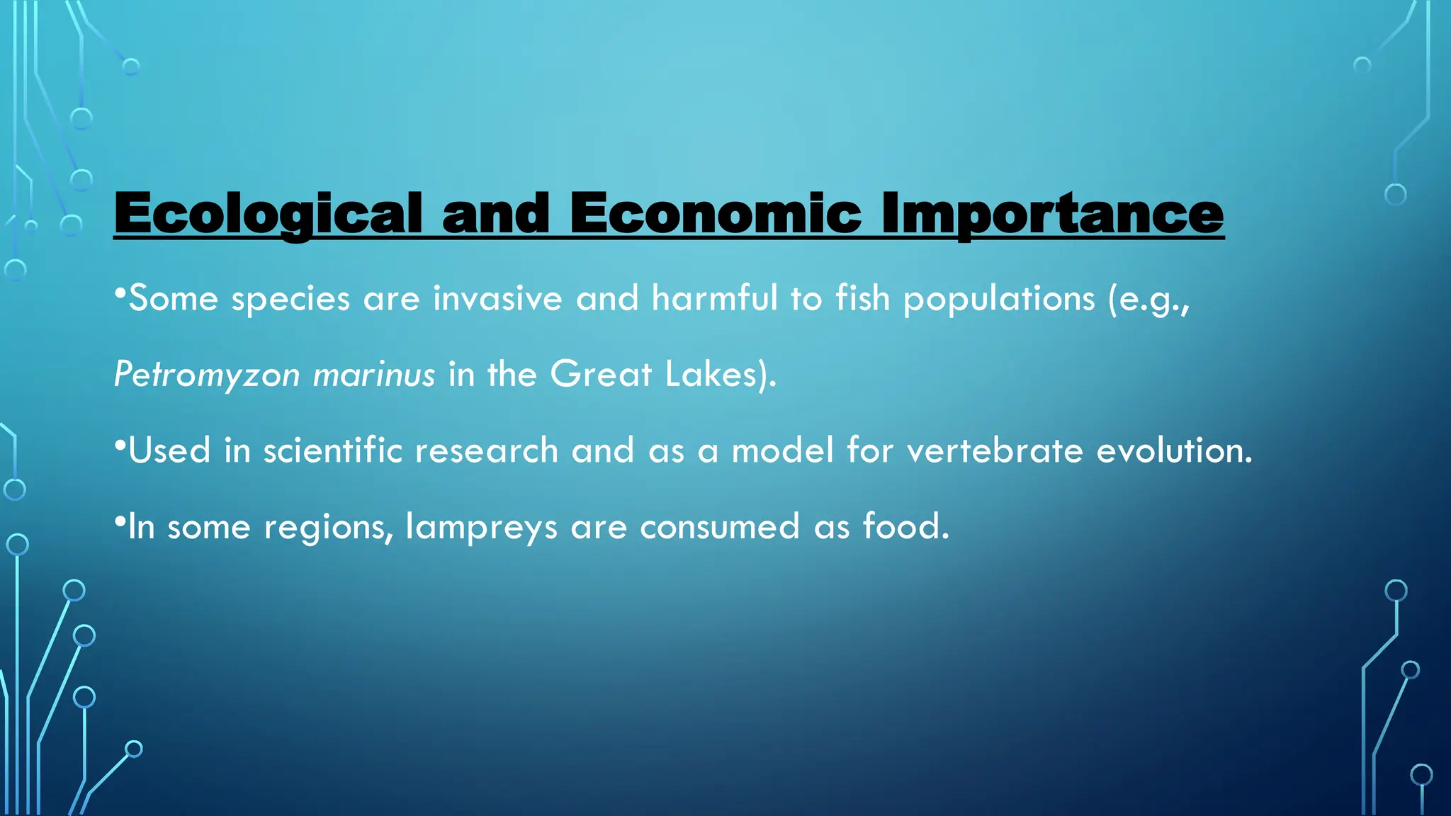 Petromyzon presentation for college.pptx