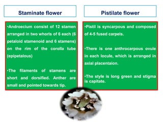 CROP IMROVEMENT AND RECENT ADVANCES IN SAPOTA | PPTX