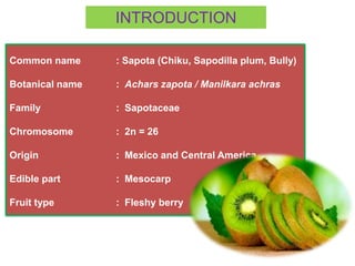 CROP IMROVEMENT AND RECENT ADVANCES IN SAPOTA | PPTX