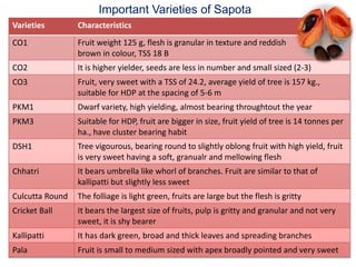 CROP IMROVEMENT AND RECENT ADVANCES IN SAPOTA | PPTX