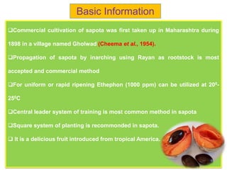 CROP IMROVEMENT AND RECENT ADVANCES IN SAPOTA | PPTX