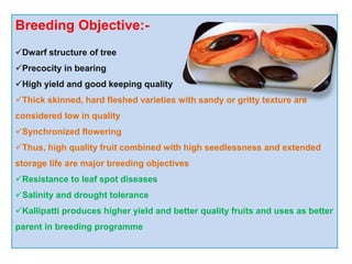 CROP IMROVEMENT AND RECENT ADVANCES IN SAPOTA | PPTX