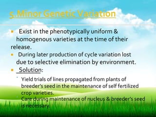 principles of seed production | PPTX