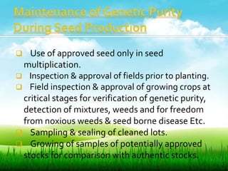 principles of seed production | PPTX