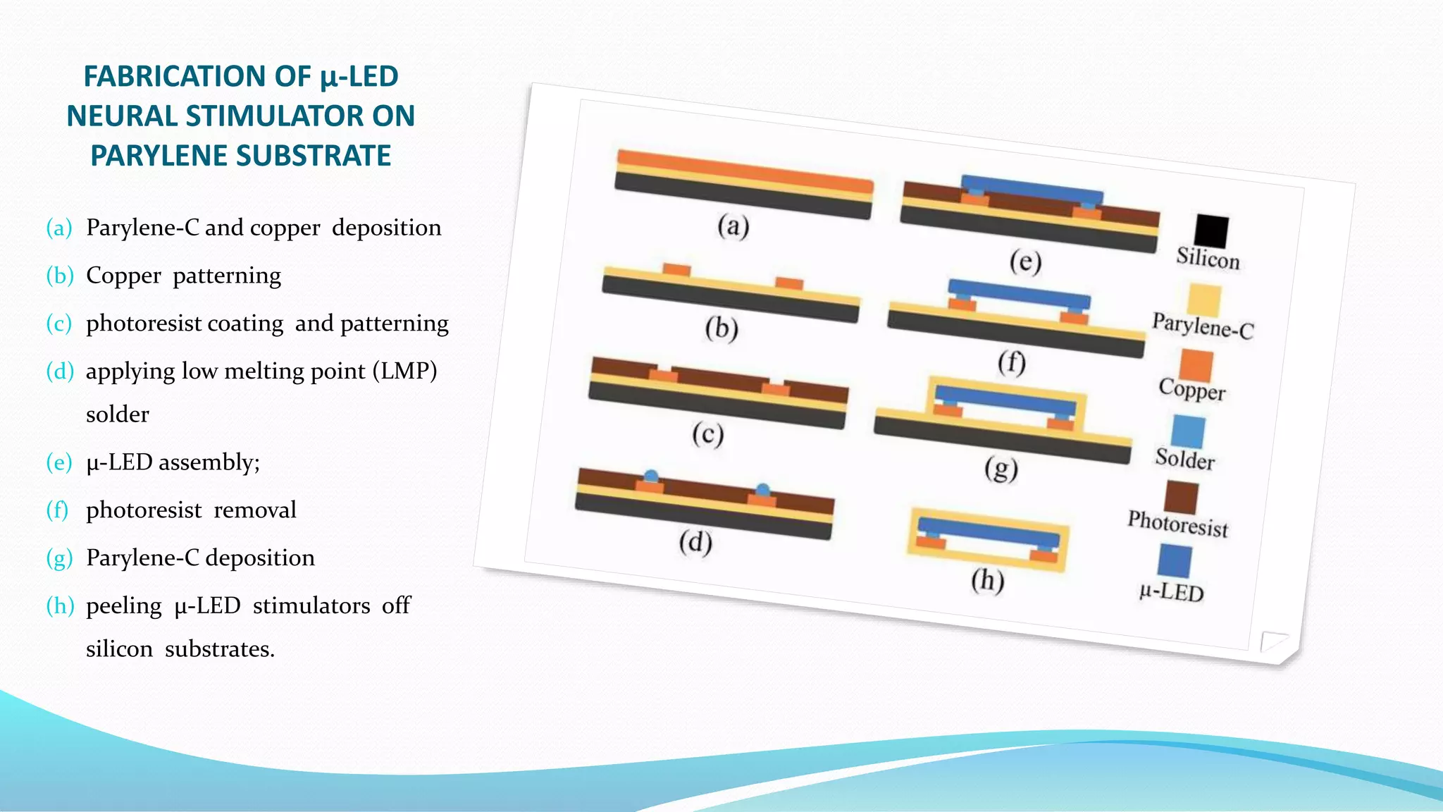 Optical propagation of blue LED light in brain tissue and Parylene-C ...