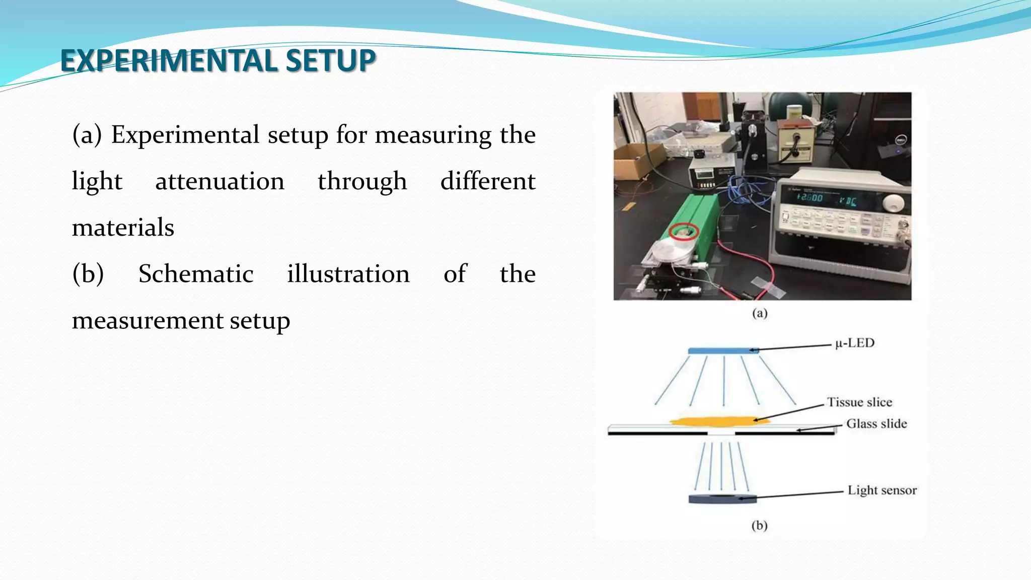 Optical propagation of blue LED light in brain tissue and Parylene-C ...