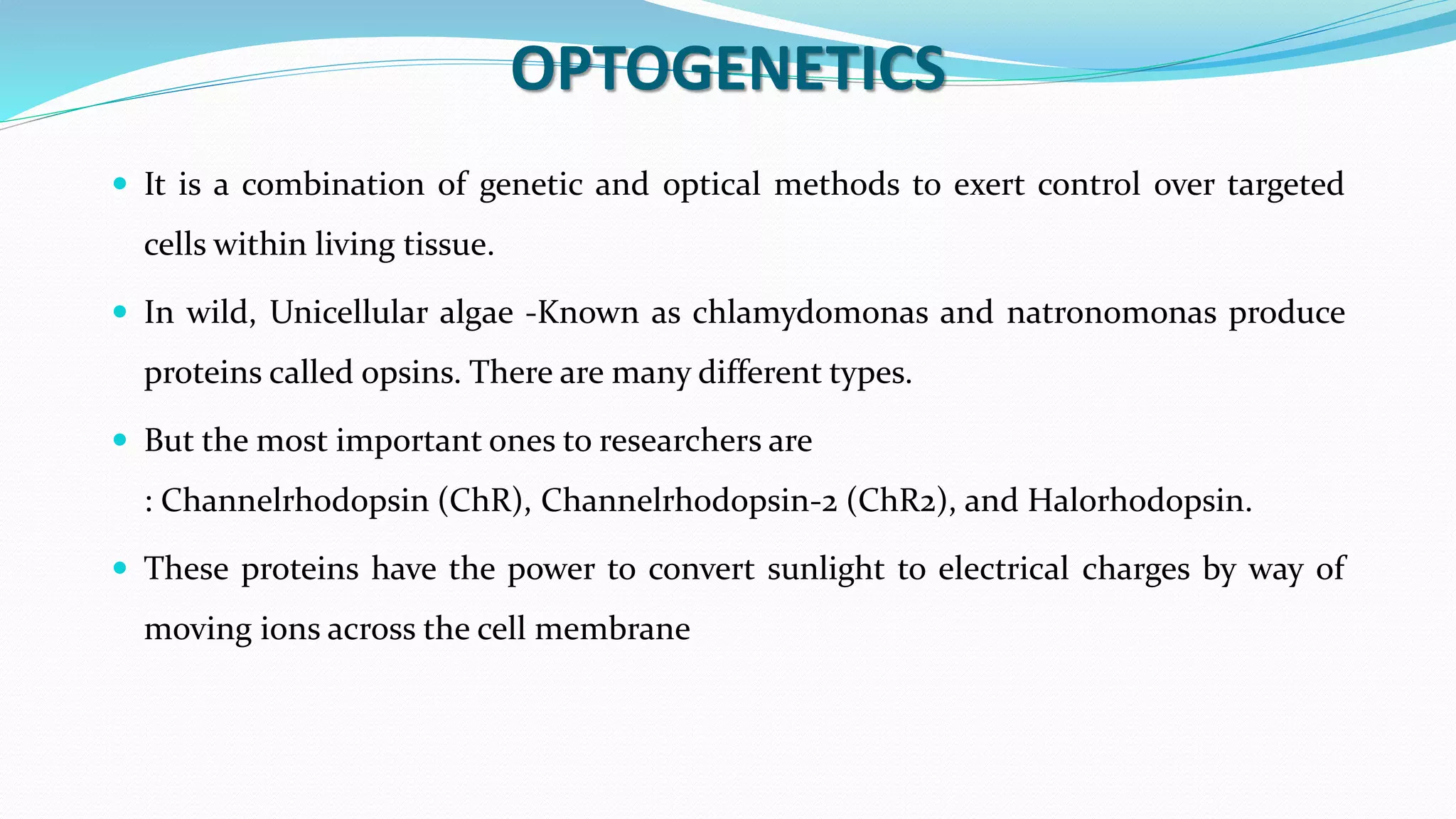 Optical propagation of blue LED light in brain tissue and Parylene-C ...