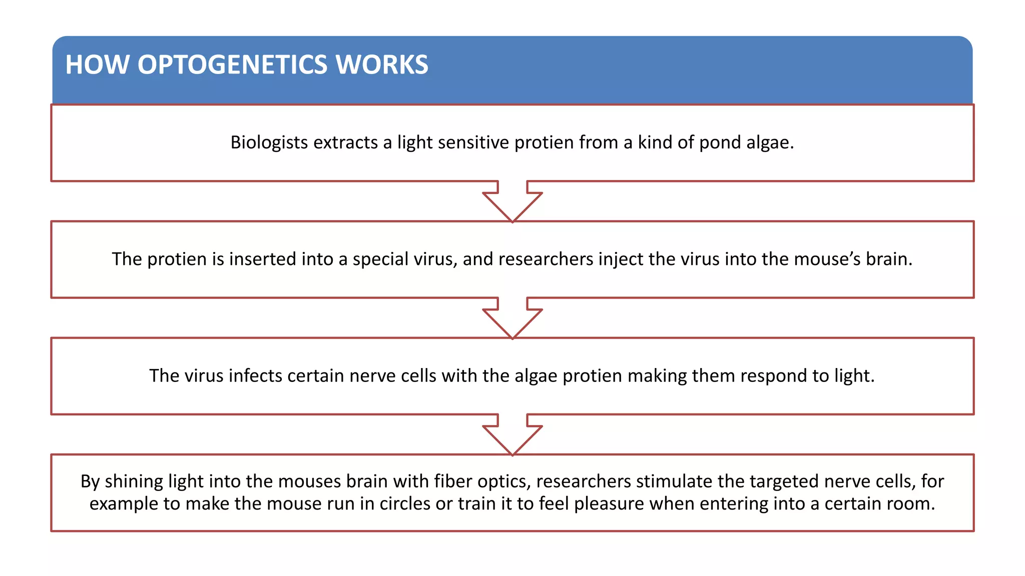 Optical propagation of blue LED light in brain tissue and Parylene-C ...
