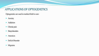 Optical propagation of blue LED light in brain tissue and Parylene-C ...