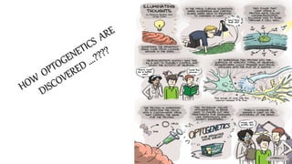 Optical propagation of blue LED light in brain tissue and Parylene-C ...