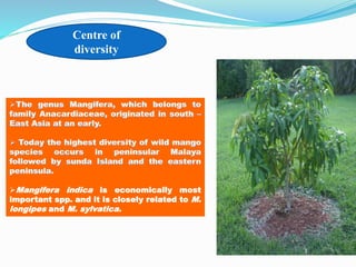 CROP IMPROVEMENT AND RECENT ADVANCES IN MANGO | PPTX