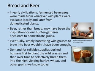 Mankind's relationship with alcohol through the ages | PPT
