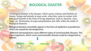 man made disaster presentated by anjinayya.pptx