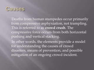 Manmade disasters Stampede | PPTX