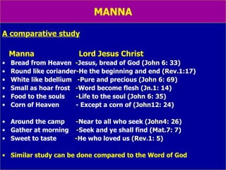 Manna | PPT